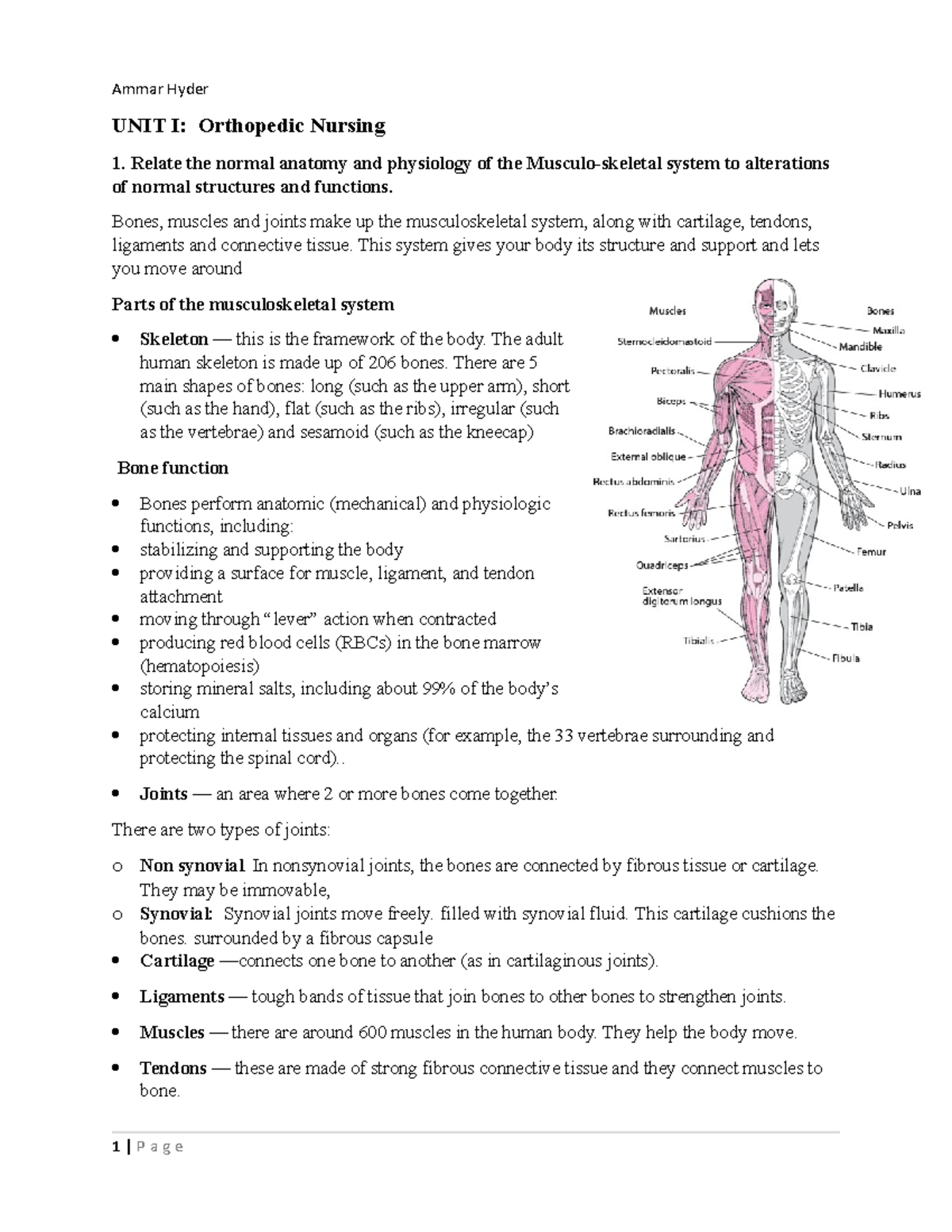 UNIT I Orthopedic Nursing - UNIT I: Orthopedic Nursing Relate the ...