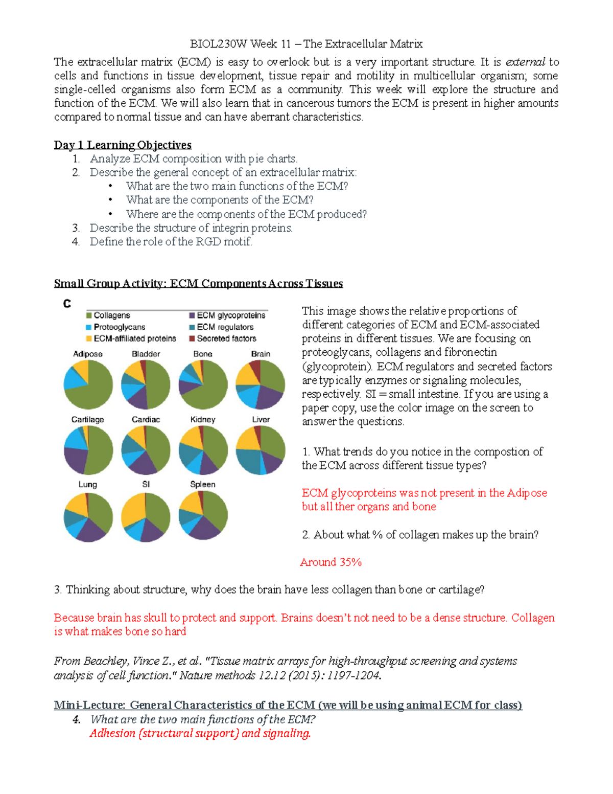 Week 11 Student - in-class annotated notes - The extracellular matrix ...