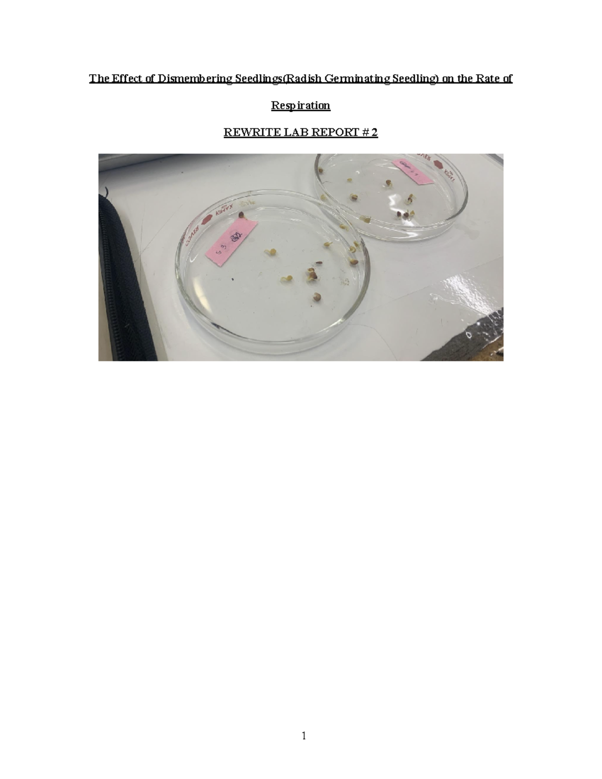 LAB Report of Bio 101 on Cellular respiration - The Effect of ...