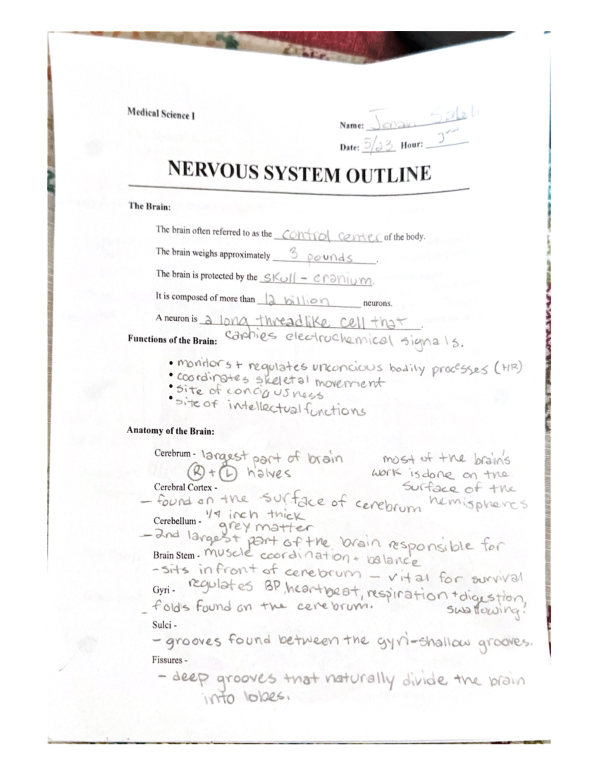Nervous System Outline - Studocu