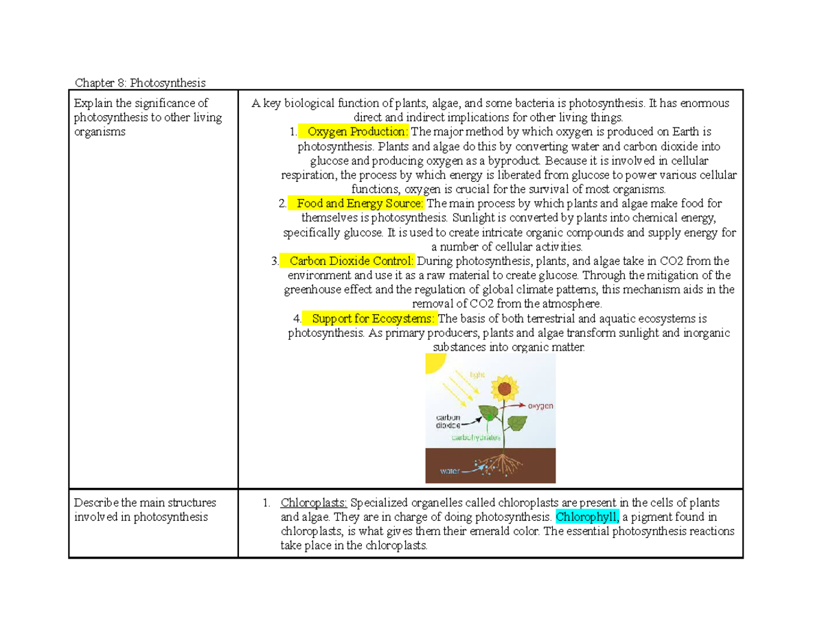 BIO SG Chapter 8 - Chapter 8: Photosynthesis Explain the significance ...