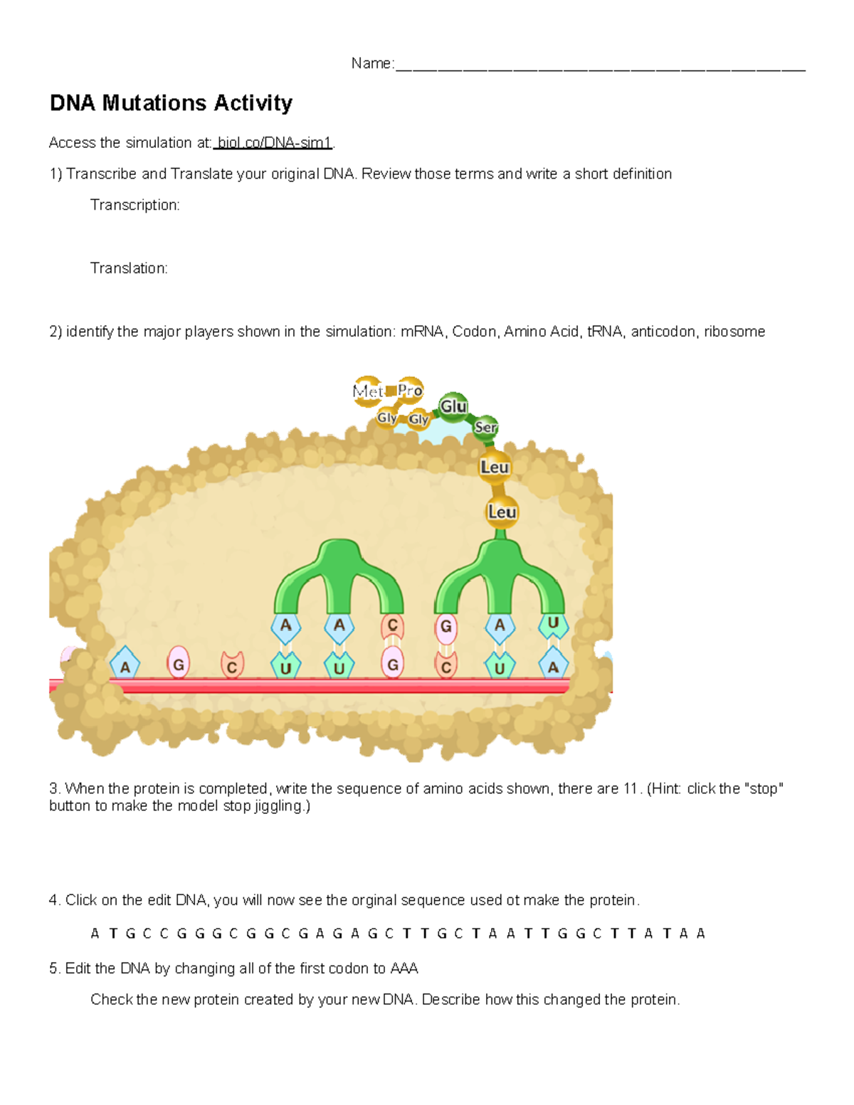 DNA Mutations Activity - Name ...