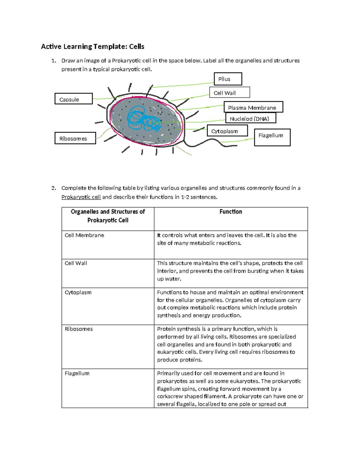 Week 2 - Cells - 100% grade accuracy - Active Learning Template: Cells ...