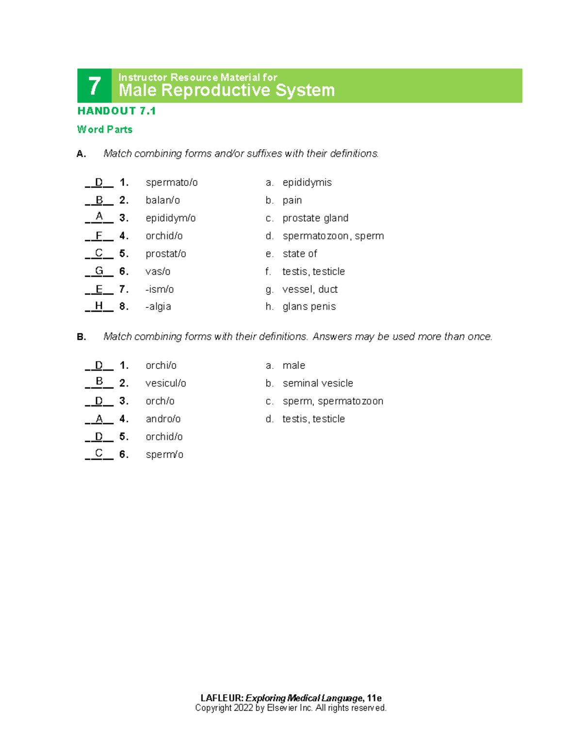 Chapter 007 - ch 7 - LAFLEUR: Exploring Medical Language, 11e 7 ...