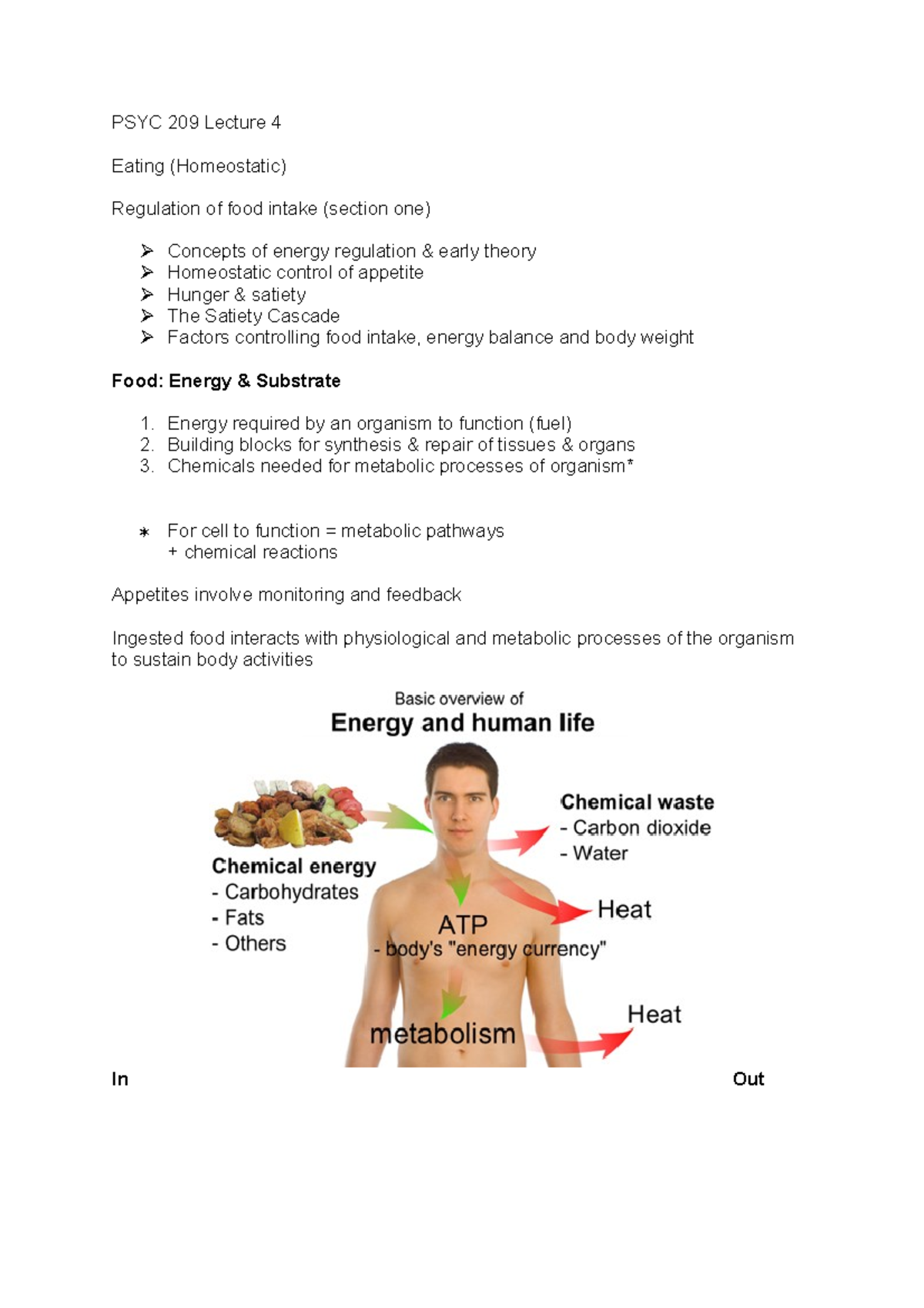 4. Eating (homeostatic) - PSYC 209 Lecture 4 Eating (Homeostatic ...