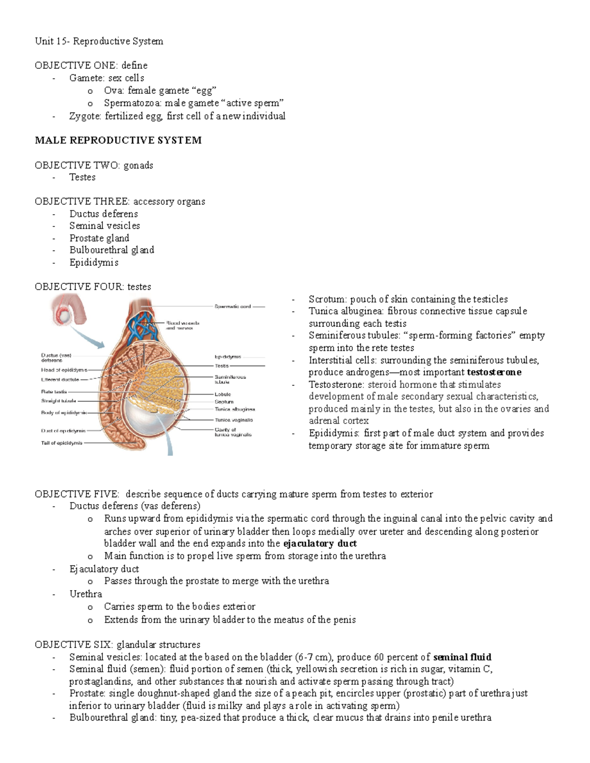 Unit 15- Reproductive Systems - Unit 15- Reproductive System OBJECTIVE ...