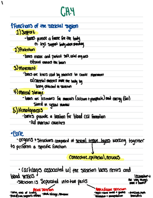 anatomy & physiology - Warning: Error during font loading: XMLHttpRequest is not defined CHAPTER ...