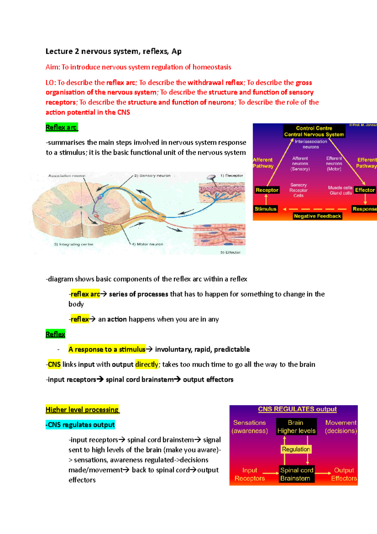 Lecture 2 nervous system reflexs arcs - hot stove withdrawal reflex 1 ...