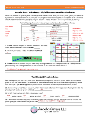 DNA vs RNA and Protein Synthesis Worksheet by Amoeba Sisters - Amoeba ...