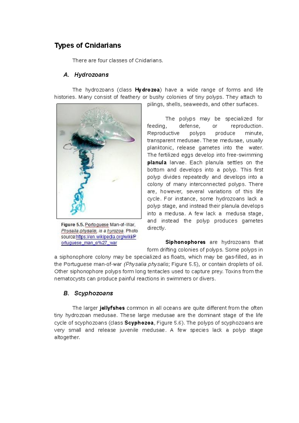 Types of Cnidarians - Types of Cnidarians There are four classes of ...