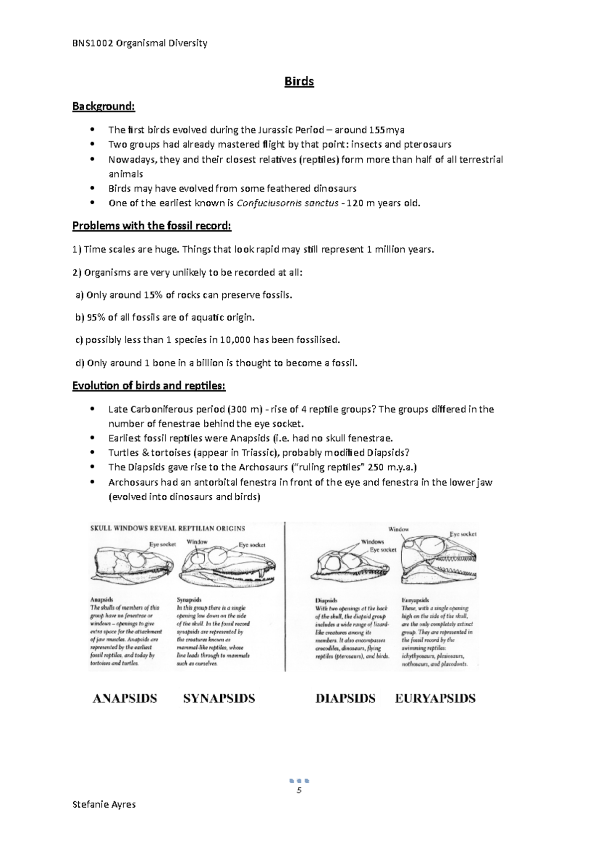 Lesson 26 - Birds - Lecture notes 26 - Birds Background: The first ...