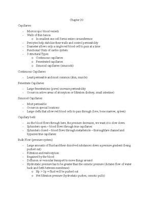 106E 05 Smart Notes - 106 ####### E .5 SKIN ASSESSMENT and ...