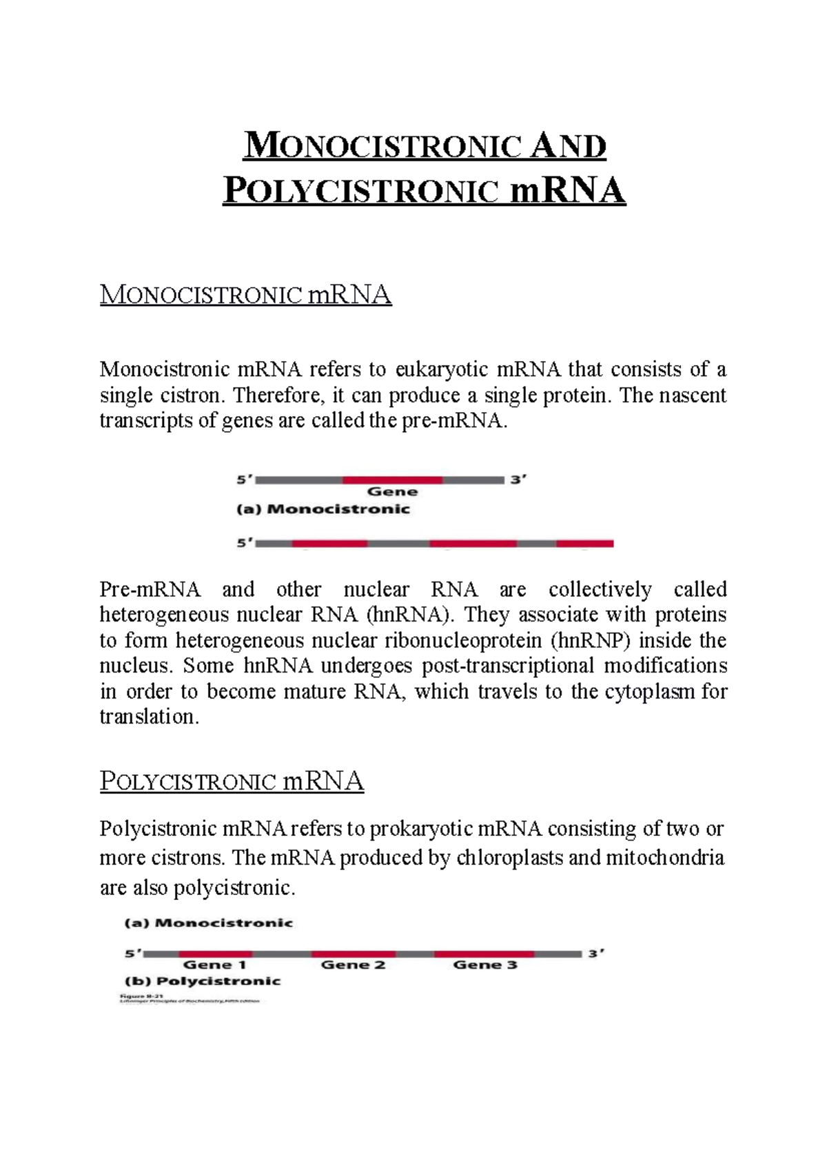 Monocistronic AND Polycistronic m RNA - M ONOCISTRONIC A ND P OLYCISTRO ...