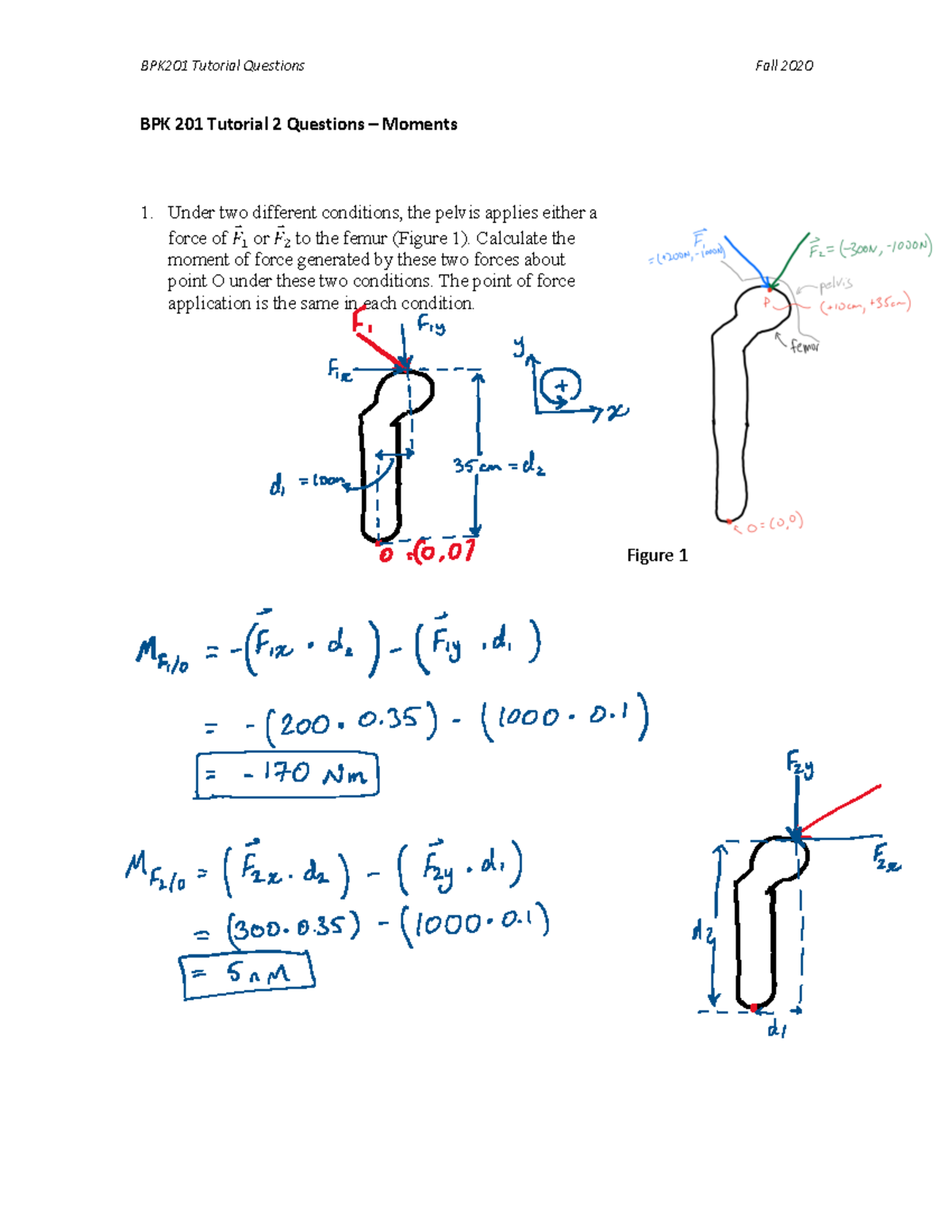 Tutorial 2 BPK 201 Questions Moments Answer Key-1 - BPK 201 Tutorial 2 ...