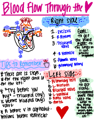 22953075 Nursing Care Plan COPD - Assessment (Supporting data) Nursing ...