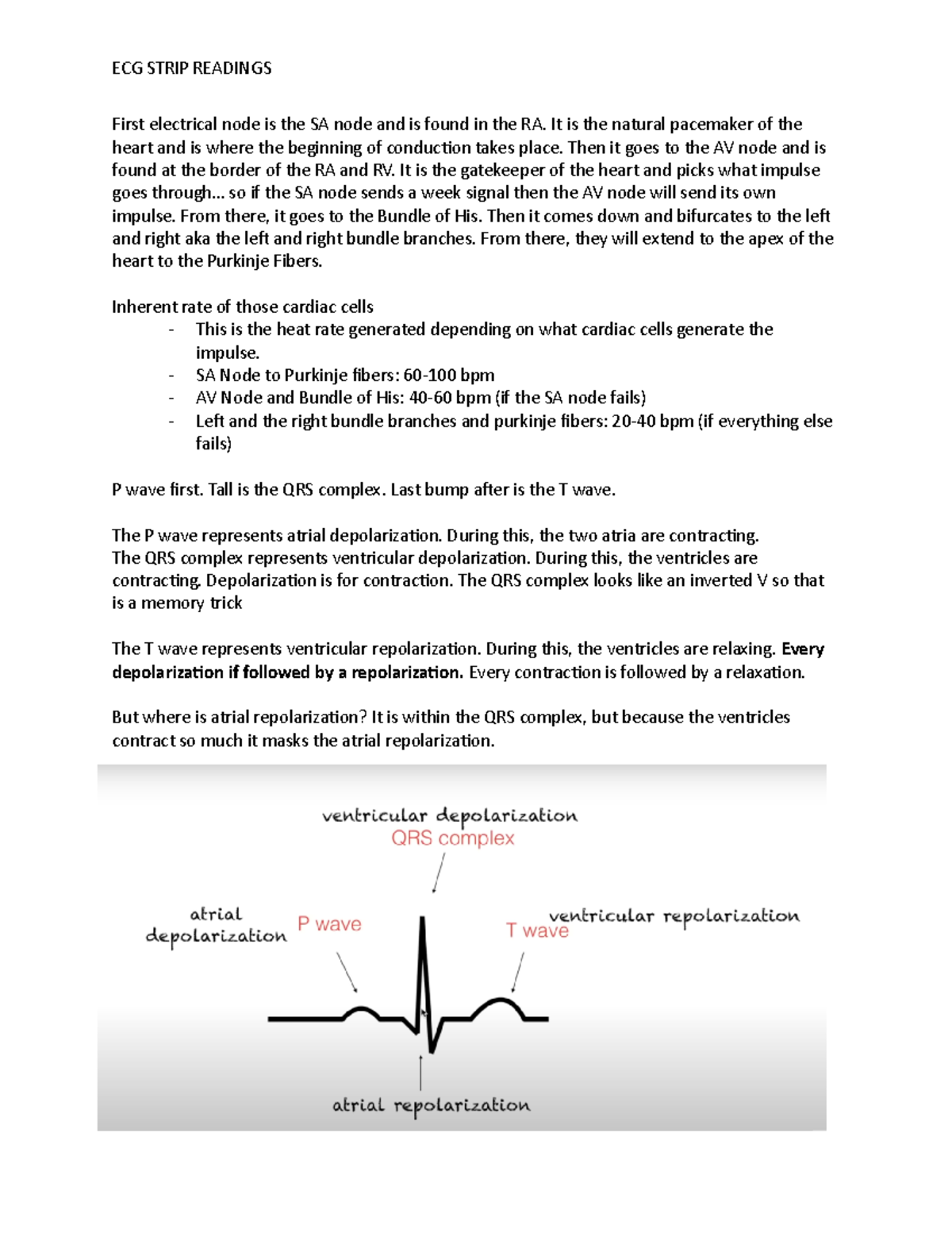 ECG Strip Readings Notes - ECG STRIP READINGS First electrical node is ...