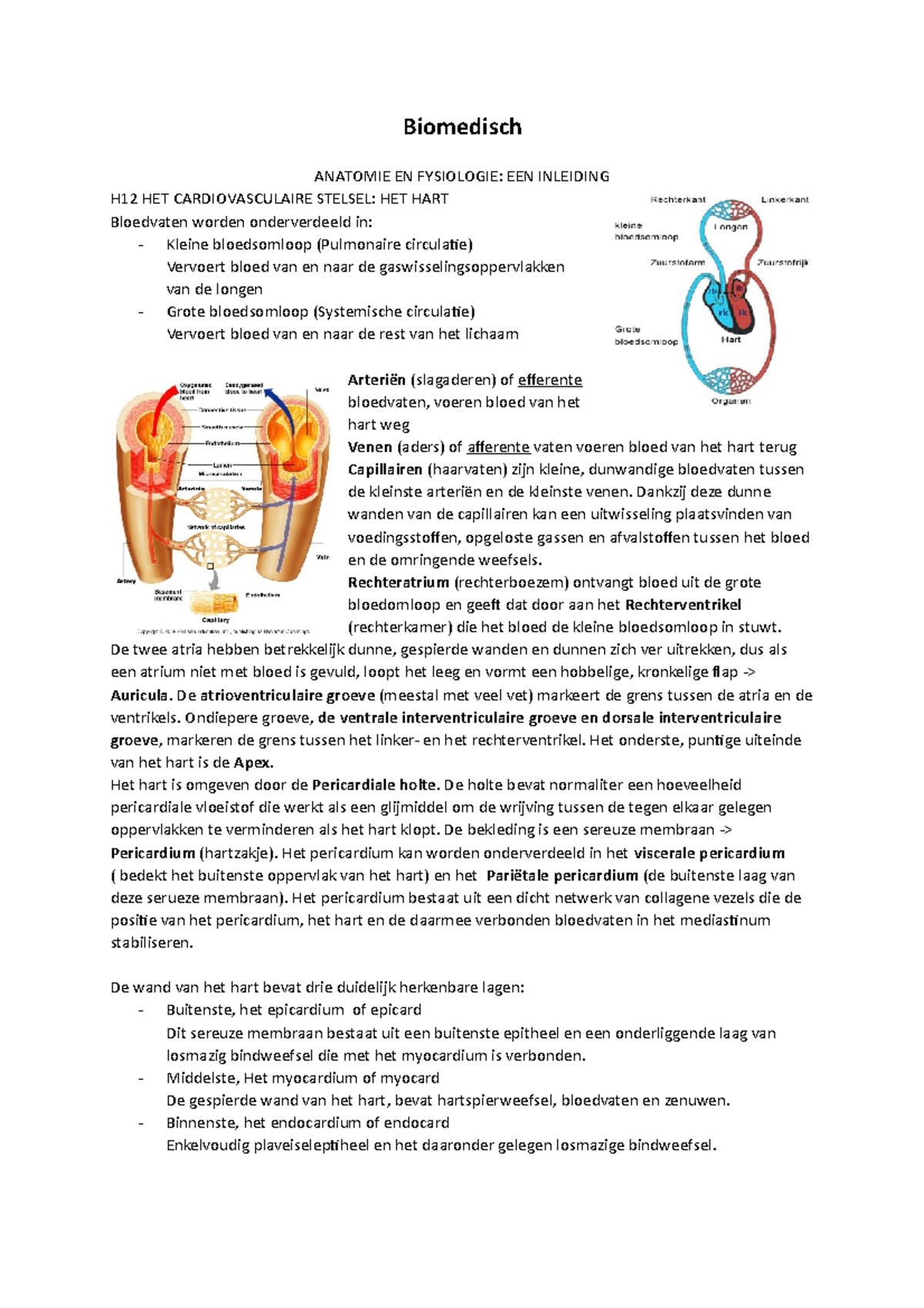 Biomedisch samenvatting - Biomedisch ANATOMIE EN FYSIOLOGIE: EEN ...