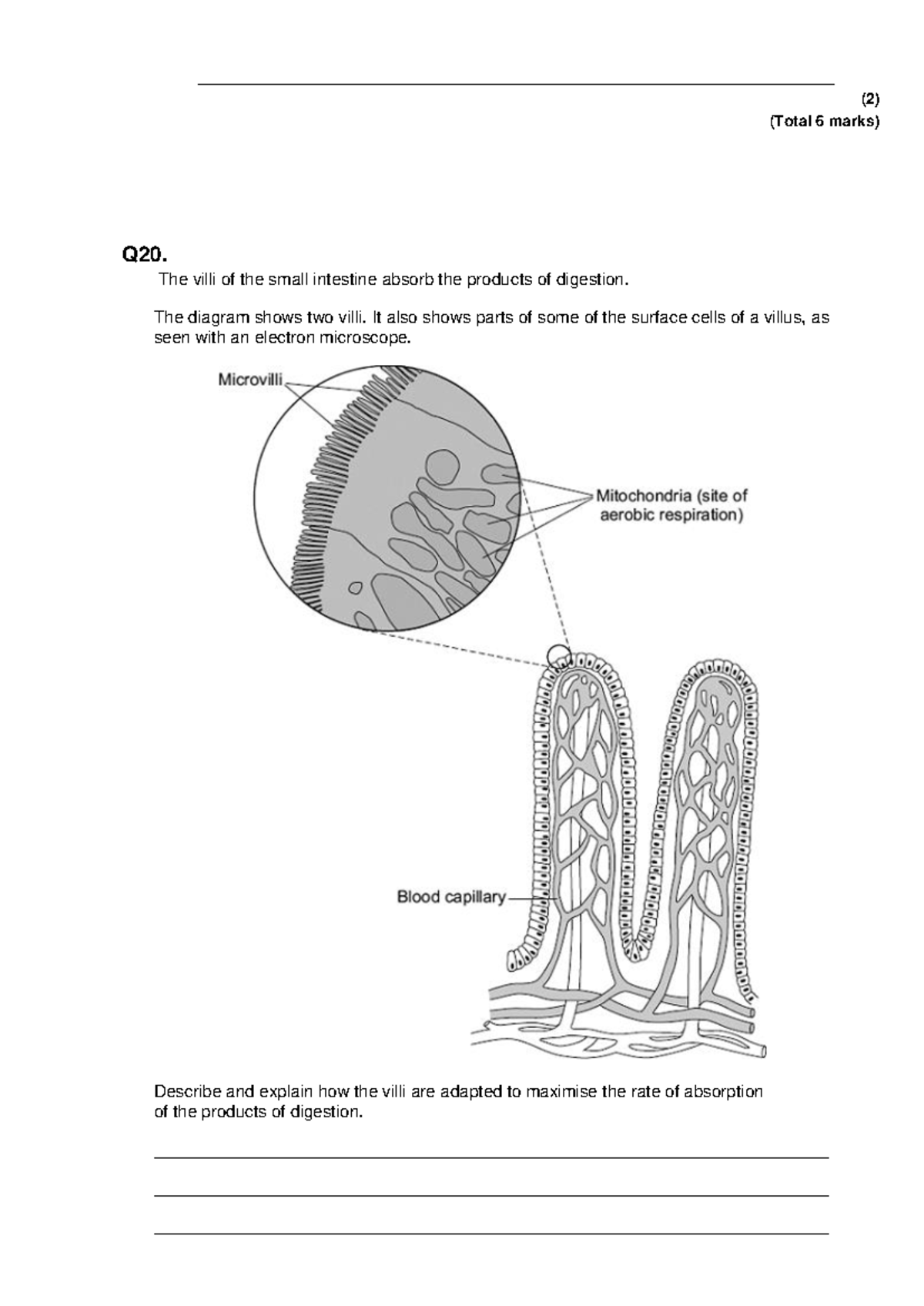 cell past paper questions
