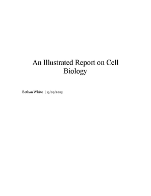 Notes Ilustrated report - Illustrated reports. As with academic and ...