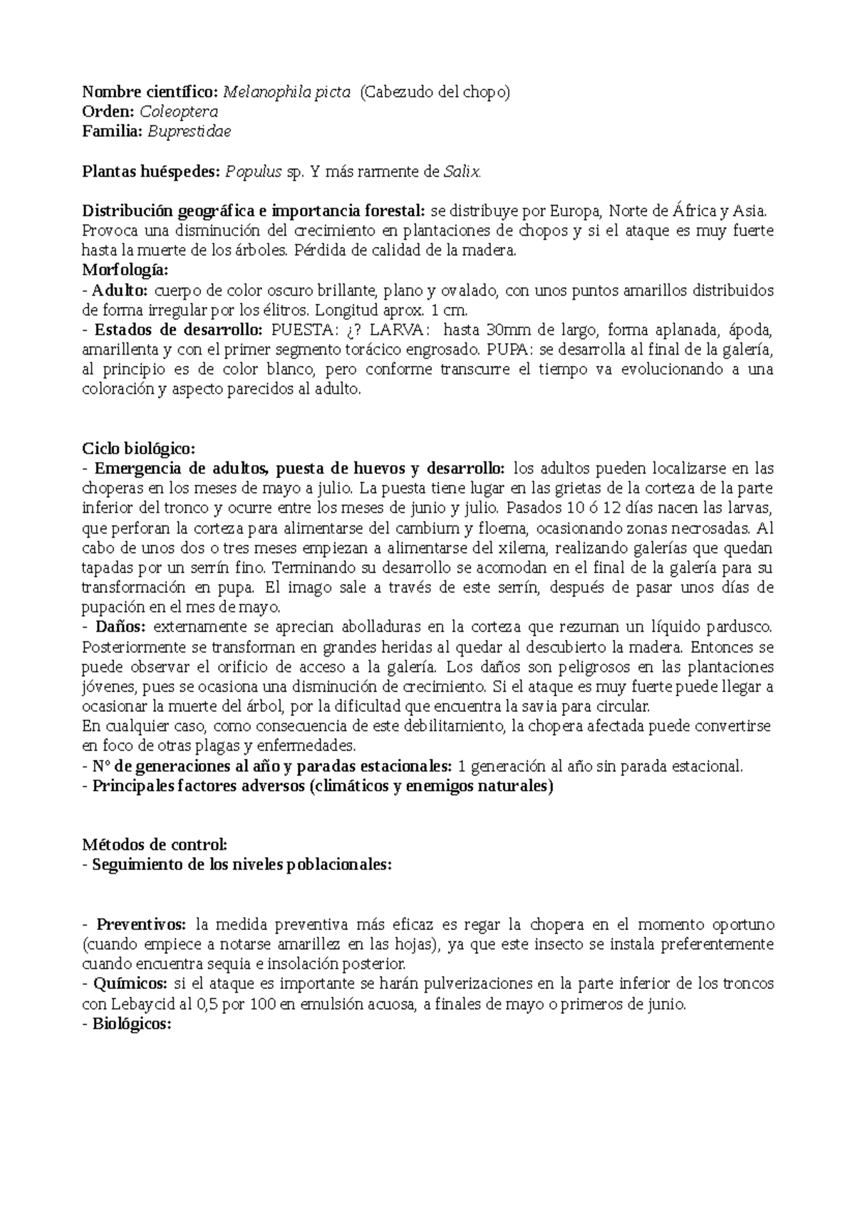 7. Melanophia picta - Nombre científico: Melanophila picta (Cabezudo ...