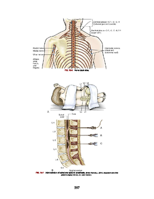Ch 16 part 2 - asdads - Shamel - Studocu