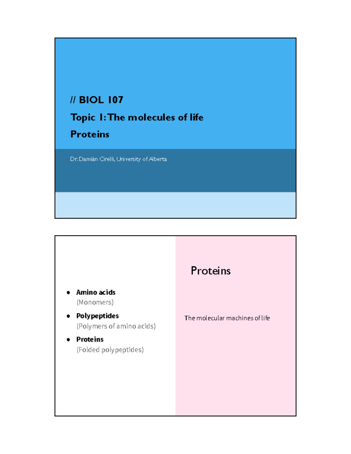 Topic 1-The molecules of life Proteins - %,2/ 7RSLF 7KH PROHFXOHV RI ...