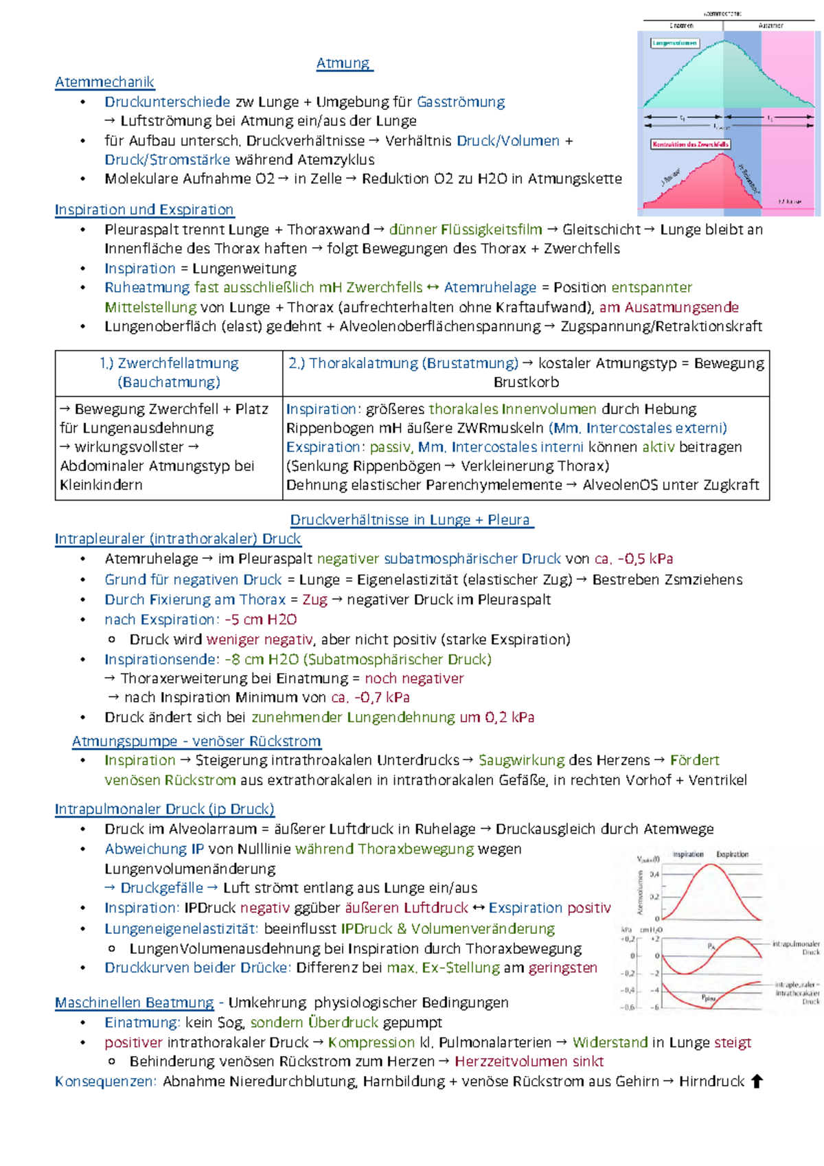 Atmung - Zusammenfassung Kurzlehrbuch Physiologie - Atmung Atemmechanik ...