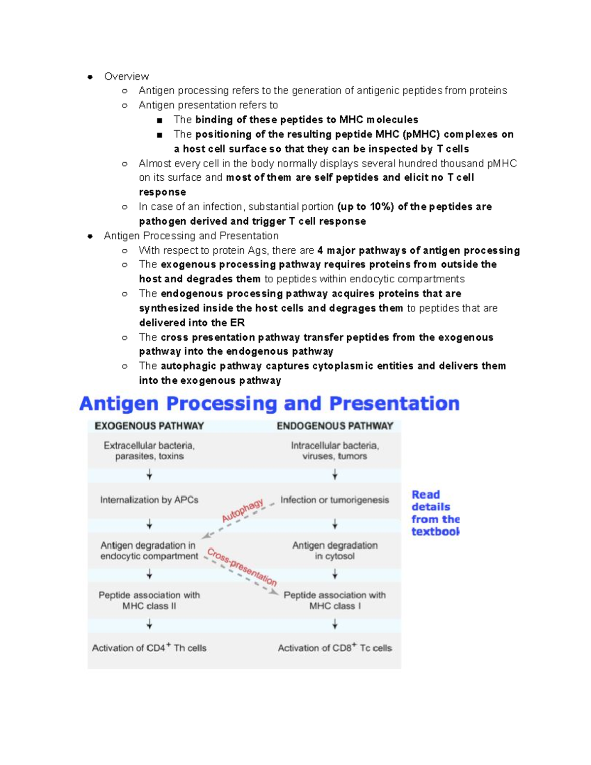 Chapter 7 Lecture 15-16 Antigen Processing and Presentation - Overview ...