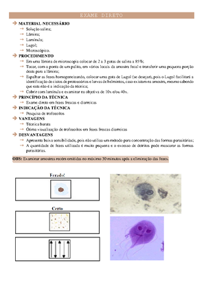 Apostila de Parasitologia Clínica (11 resumos completos) - C A M I L A ...