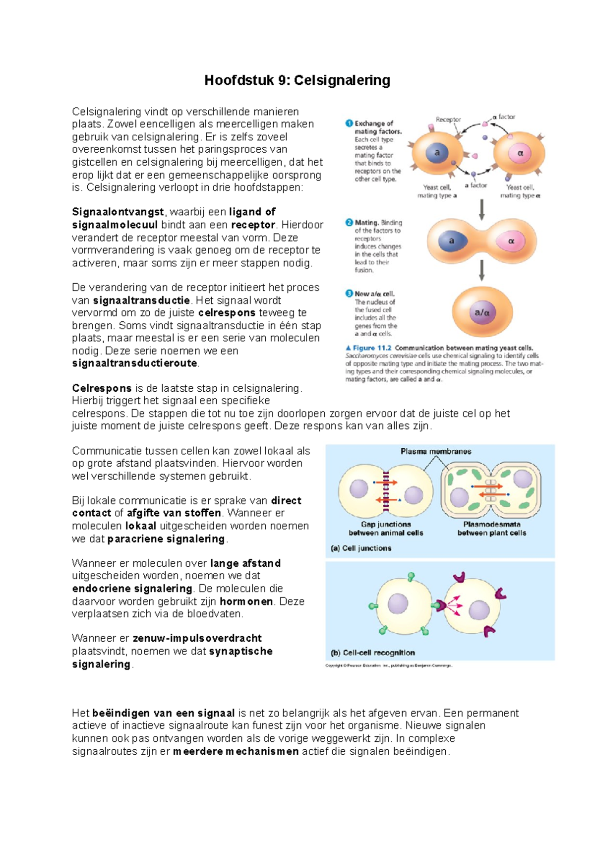 Campbell Biology Hoofdstuk 9 - DNA en Celbouw - HS Leiden - Studeersnel