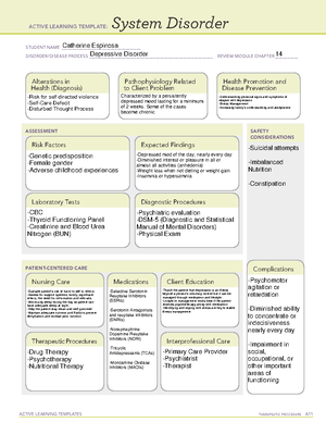 Depression system disorder - ACTIVE LEARNING TEMPLATES System Disorder ...