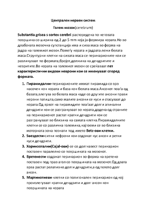 User Manual - 161150-1647 - A - en - Masterclave 60 - MASTERCLAVE 60 ...