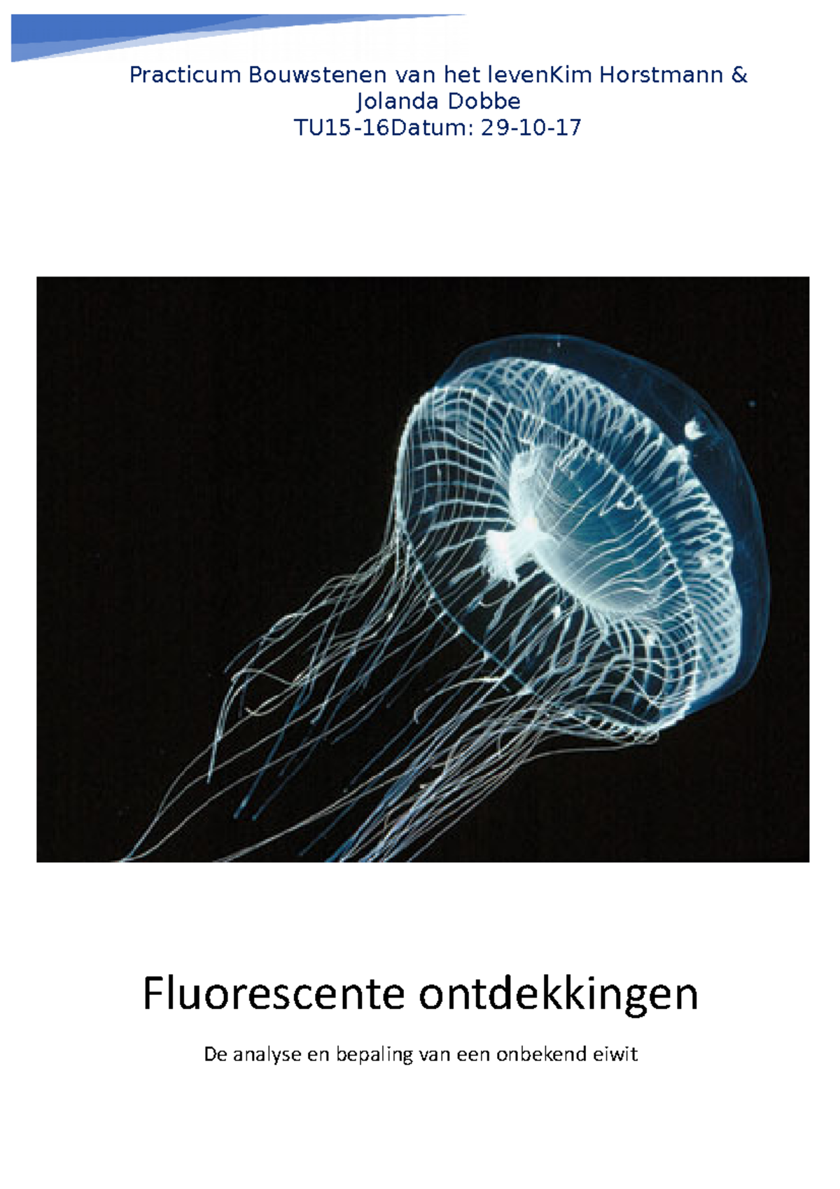 Practicumverslag TU15-16 Dobbe Horstmann - Practicum Bouwstenen van het ...