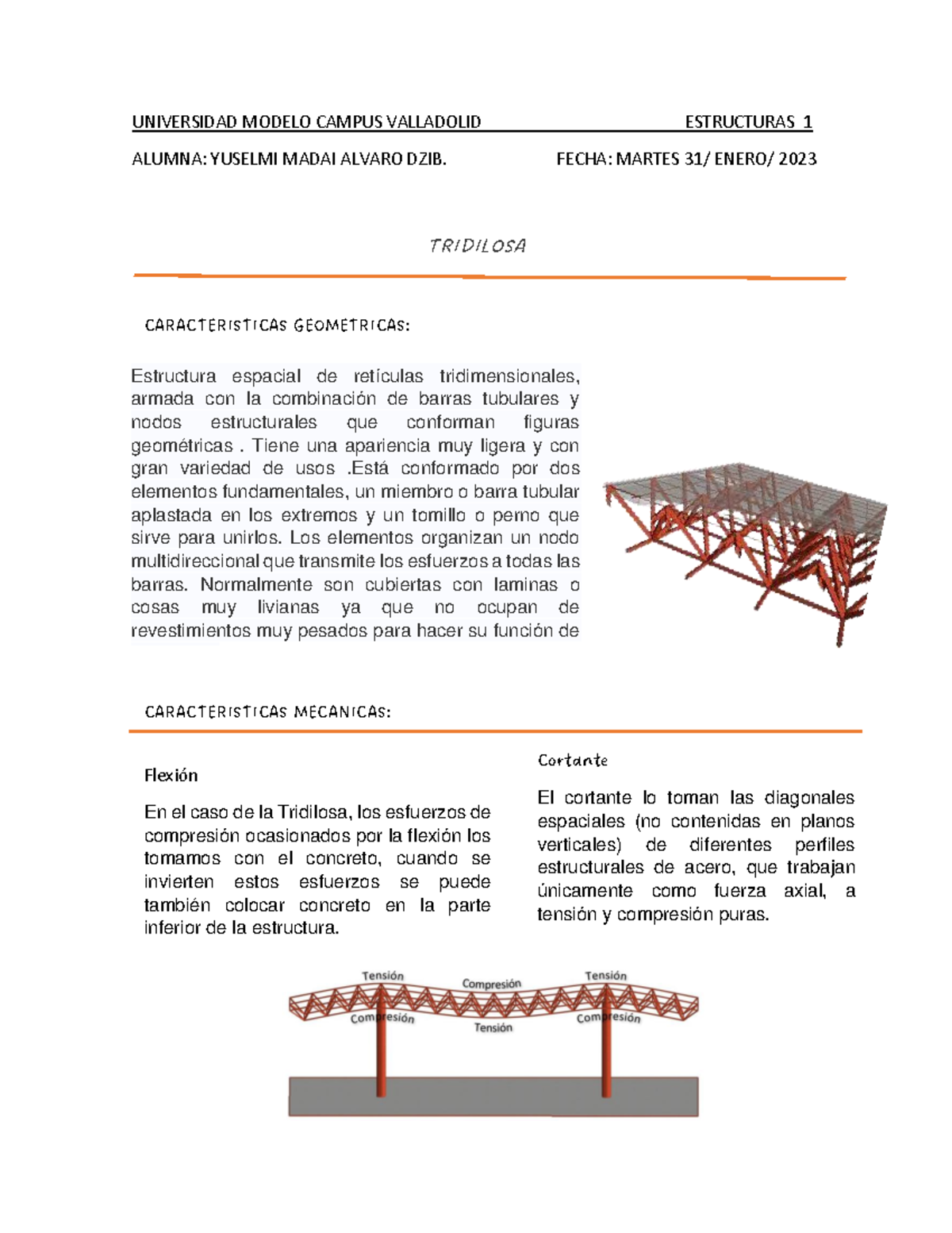 Tridilosa estructuras - UNIVERSIDAD MODELO CAMPUS VALLADOLID ...