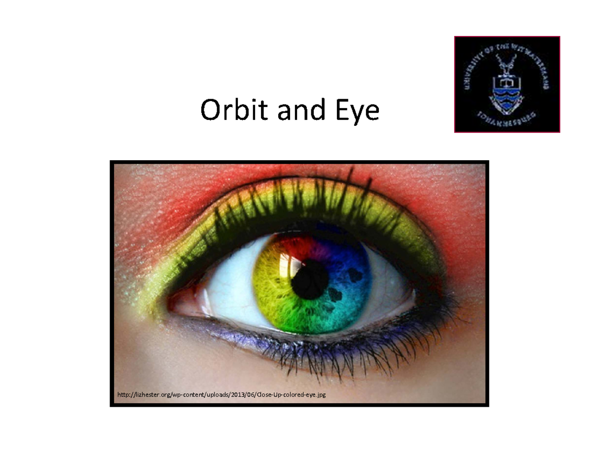 9 Orbit and Eye 2 - aantomy lecture slids on head an neck region ...