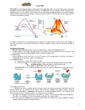 1 - Biochemistry and the Organization of Cells - Learning Material ...