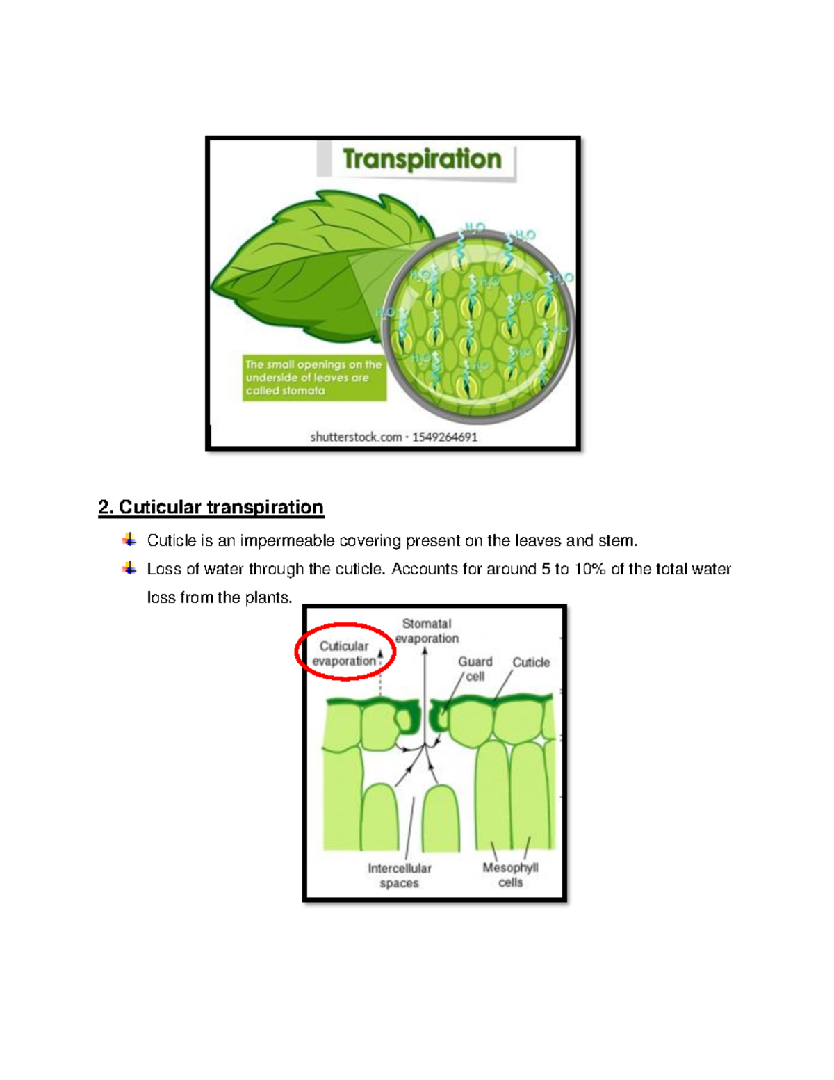 Crop physiology and its importance in Agriculture - 2. Cuticular ...