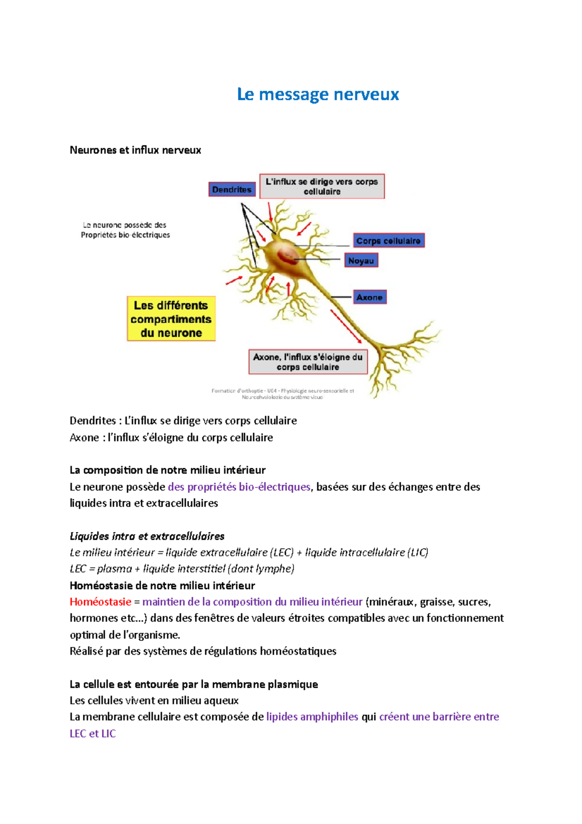 2. Le message Nerveux - Description des mécanisme physiologiques ...