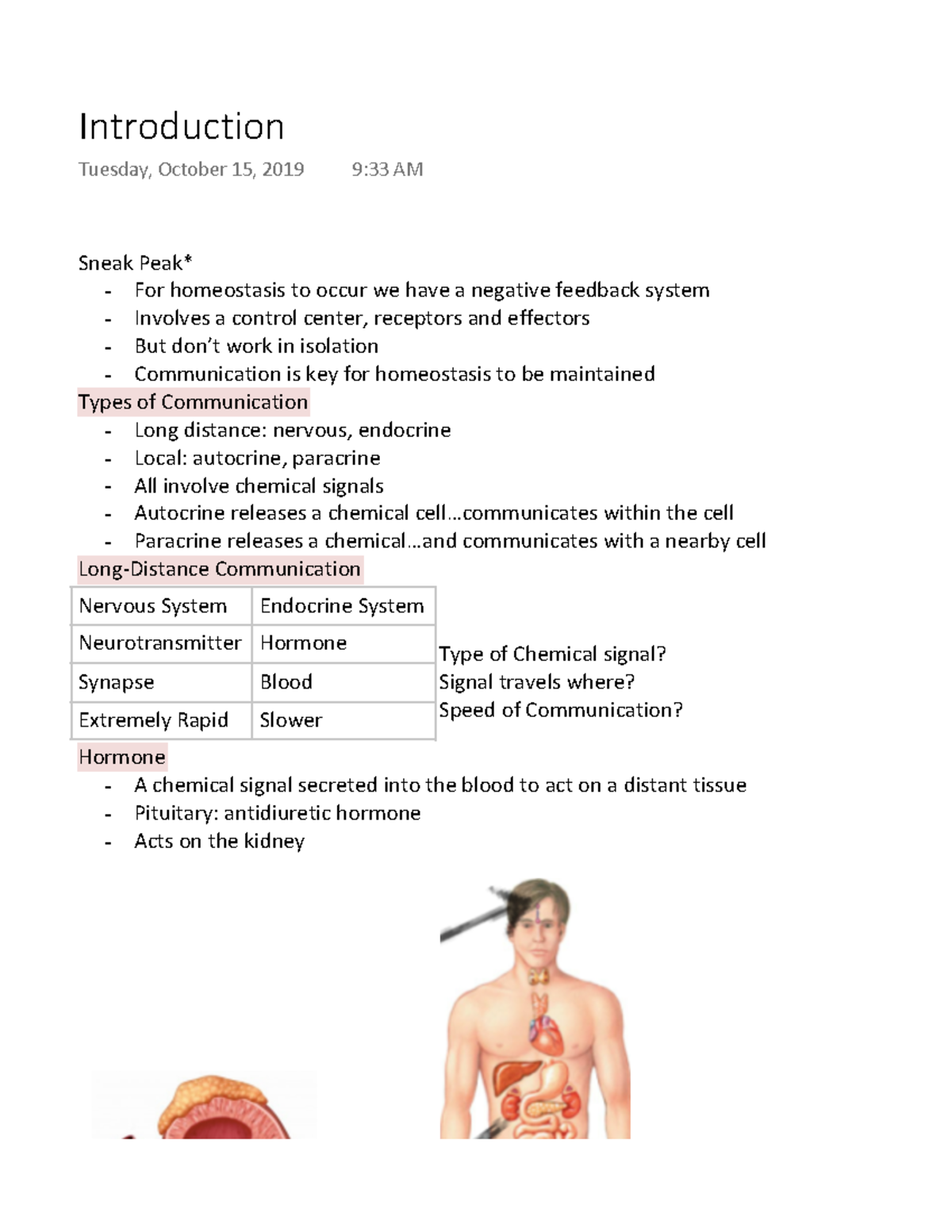 Introduction Endocrine - Warning: TT: undefined function: 32 Sneak Peak* For homeostasis to ...