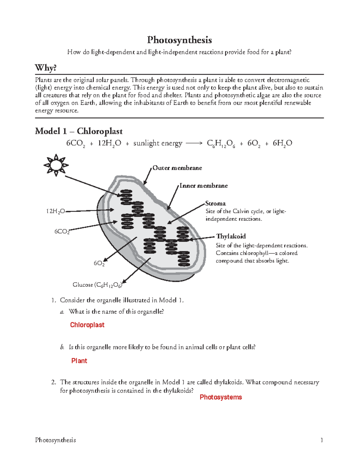 11 photosynthesis-s - Photosynthesis worksheets - Photosynthesis 1 ...