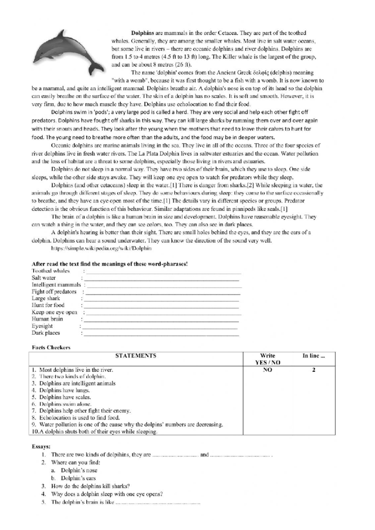 Dolphin - report text exercise - Reading – Technical Writing (Technical ...