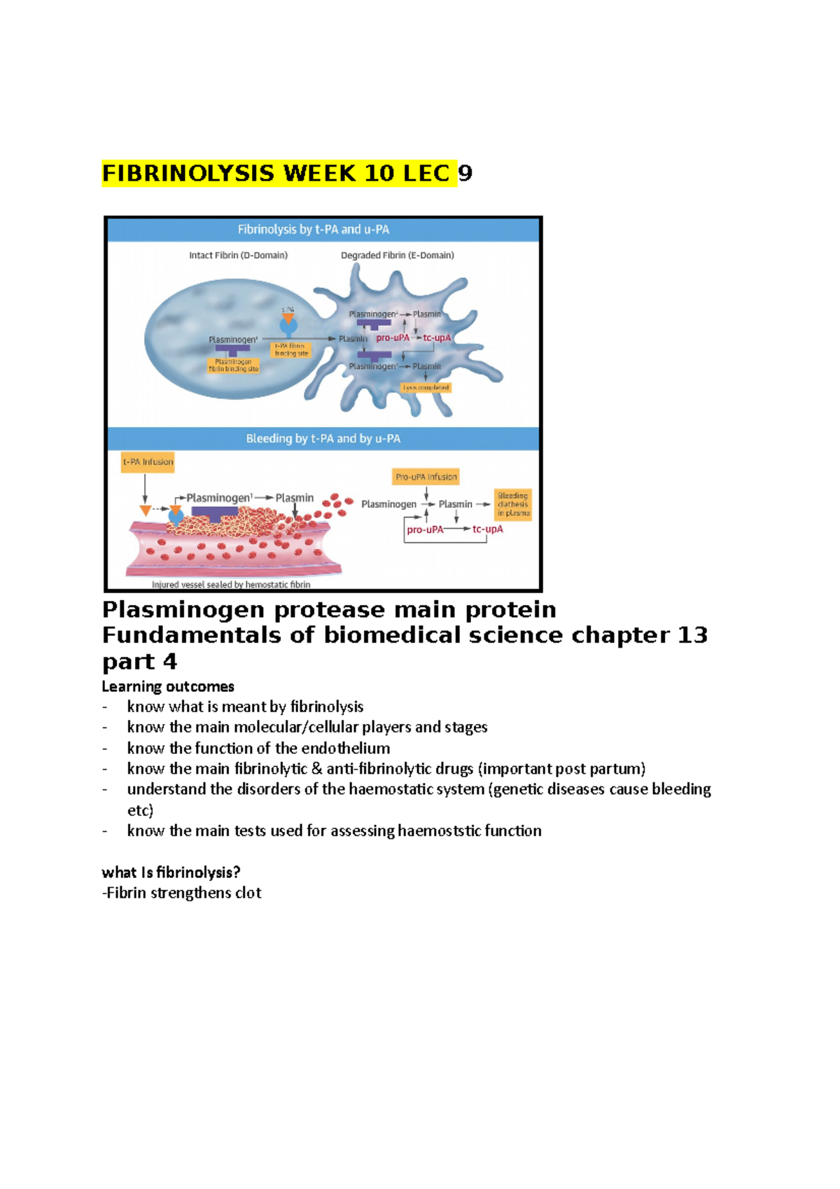 Fibrinolysis 23 - FIBRINOLYSIS WEEK 10 LEC 9 Plasminogen protease main ...