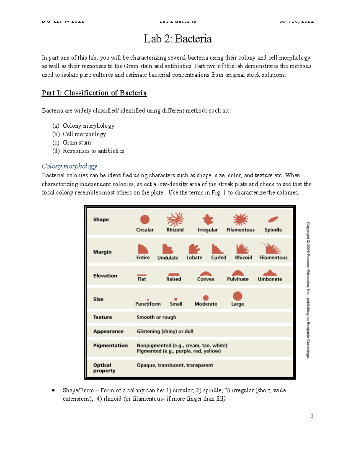 Lab2 Bacteria 2214 - need for the final - Lab 2: Bacteria In part one ...
