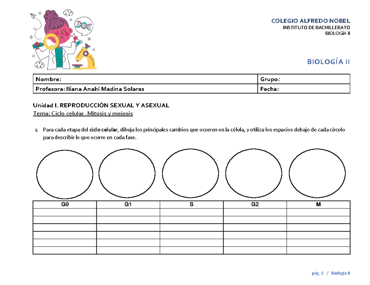 SesióN 3 Ciclo Celular, Mitosis Y Meiosis BiologíA II - COLEGIO ALFREDO ...