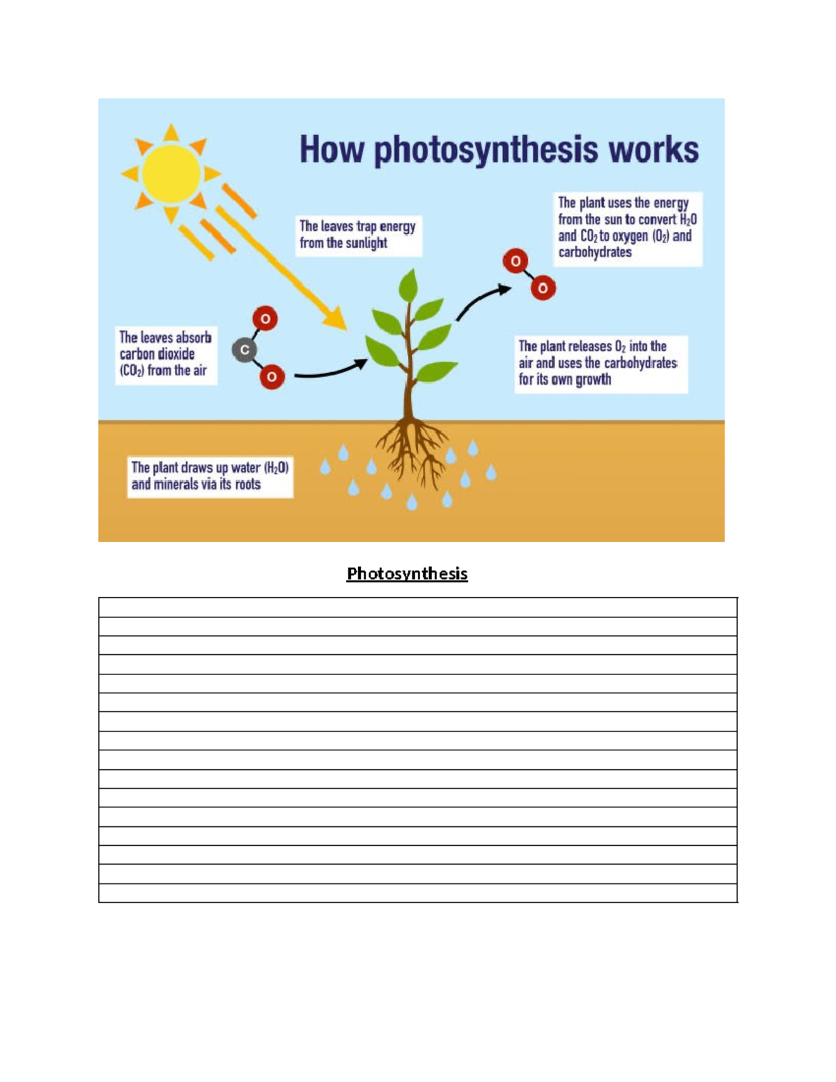 ENGL 125 Sample of a process essay - English for Science ii ...