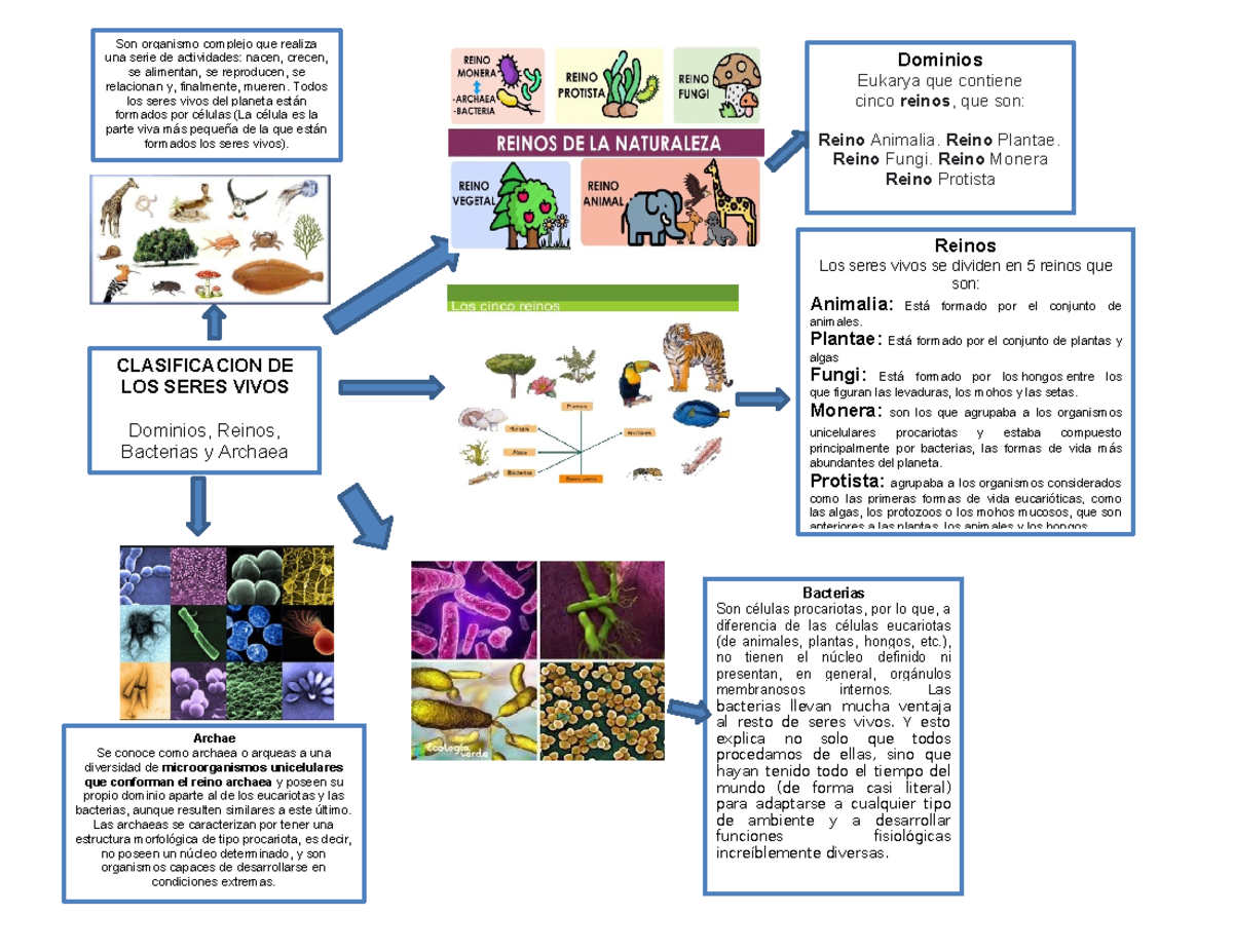 seres vivos infografia - CLASIFICACION DE LOS SERES VIVOS Dominios ...
