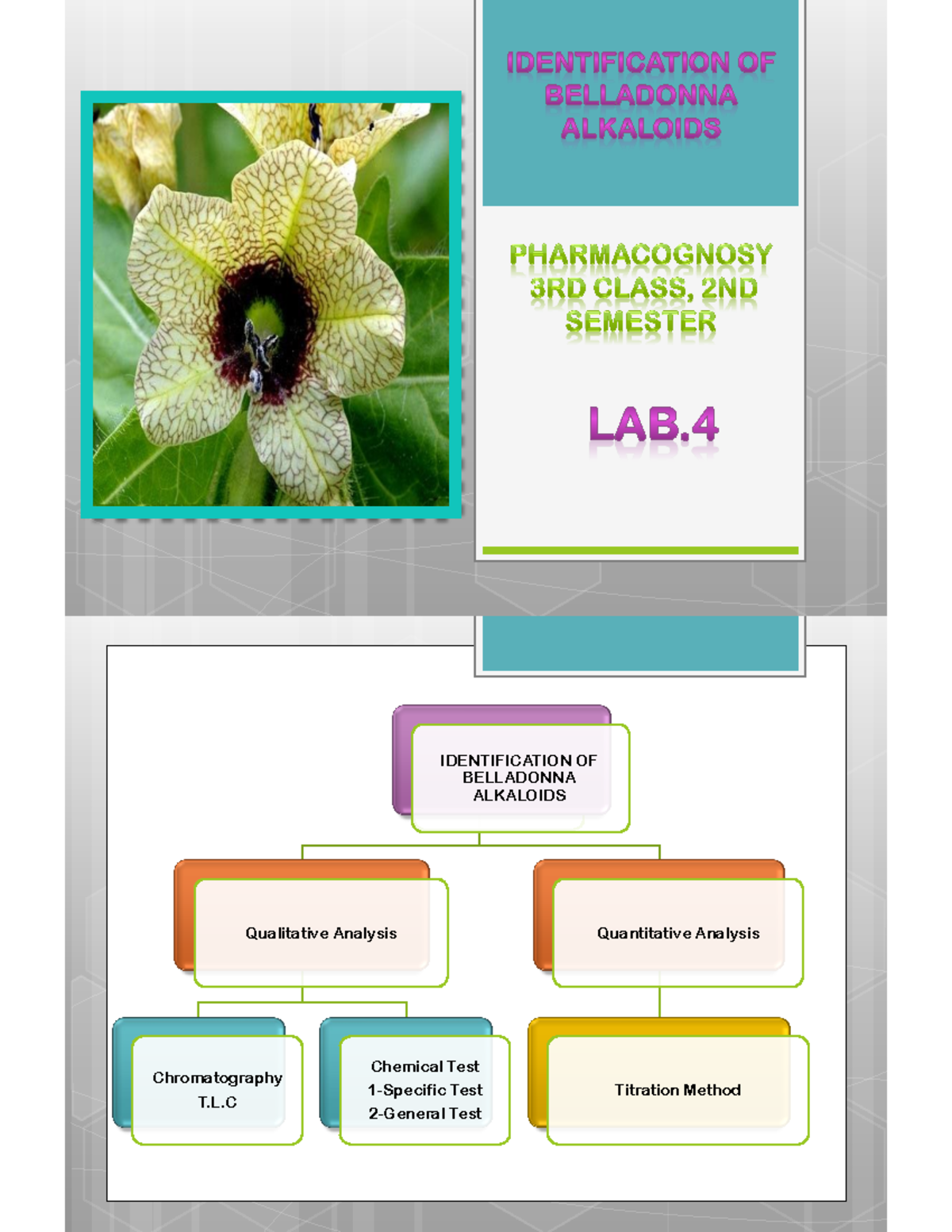 Identification OF Belladonna Alkaloids - ####### Qualitative Analysis ... Identification OF Belladonna Alkaloids - ####### Qualitative Analysis ...
