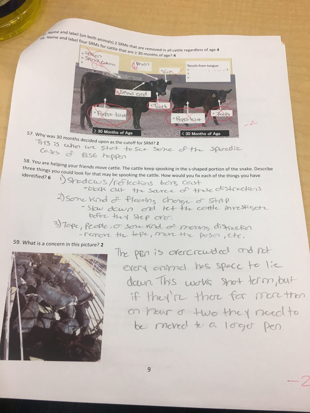 Exam 1 short answer - Professor: Bob Delmore - ANEQ 360 - CSU - Studocu