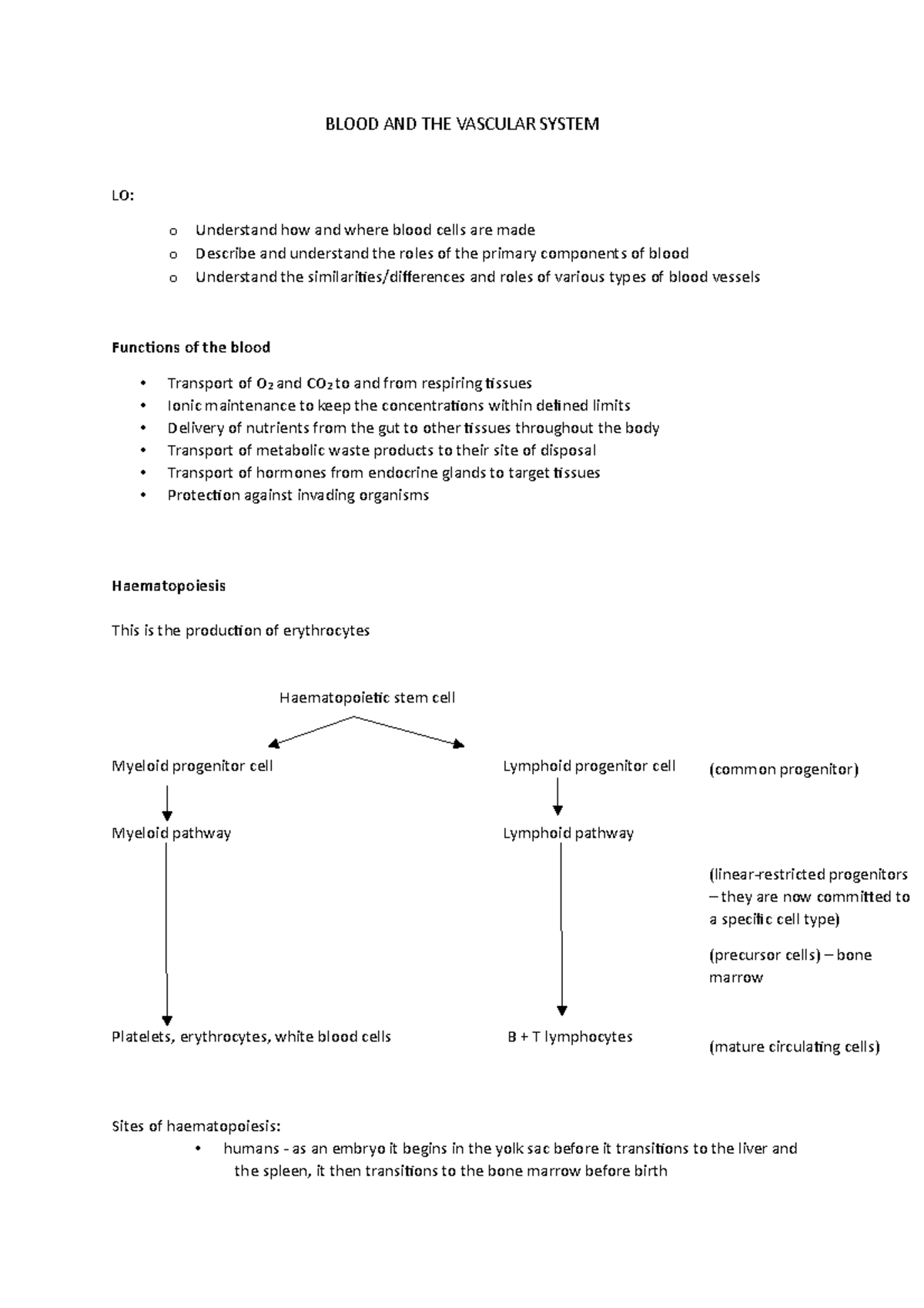 Lecture 1 - Blood and vascular system - BLOOD AND THE VASCULAR SYSTEM ...