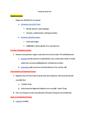 Anatomy - help - At the ends of muscles, the connective tissues merge ...